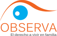 Informe Alternativo Comité Derechos del Niño – Observa Derechos